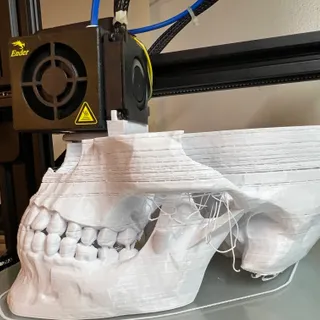 Search groups: hsw | Printables.com