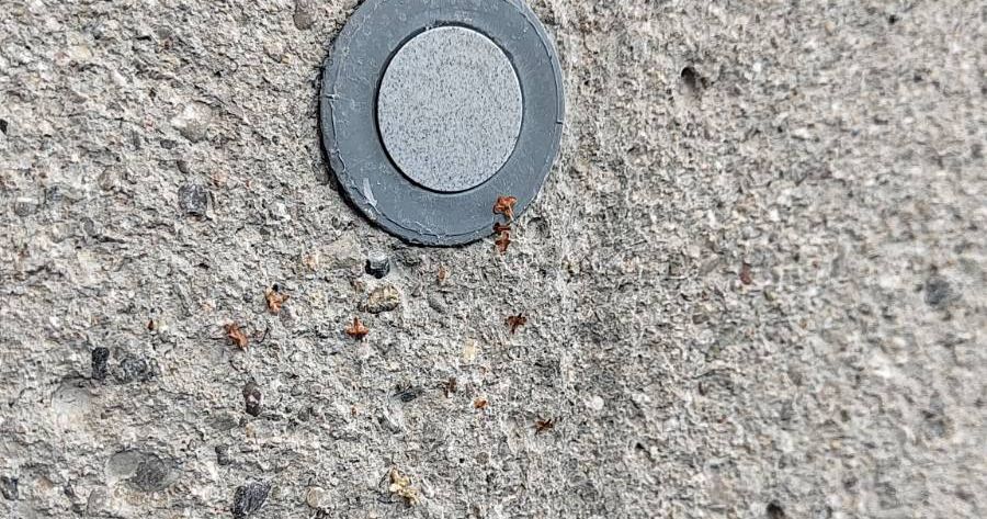 Concrete plug / Beton Stoppel by Michael | Download free STL model ...