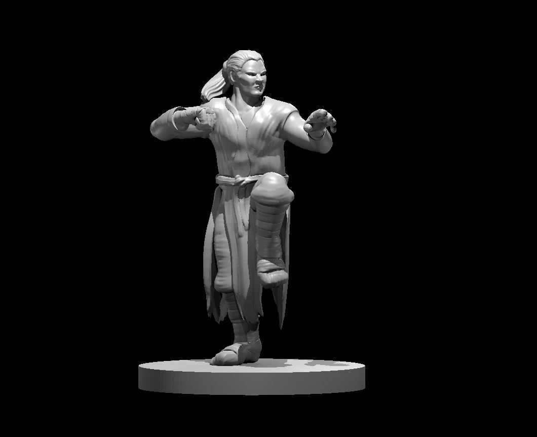 Monk Collection 3 by MZ4250 | Download free STL model | Printables.com