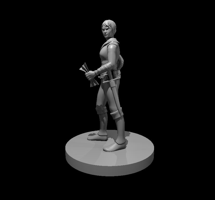 Rogue Collection 3 by MZ4250 | Download free STL model | Printables.com
