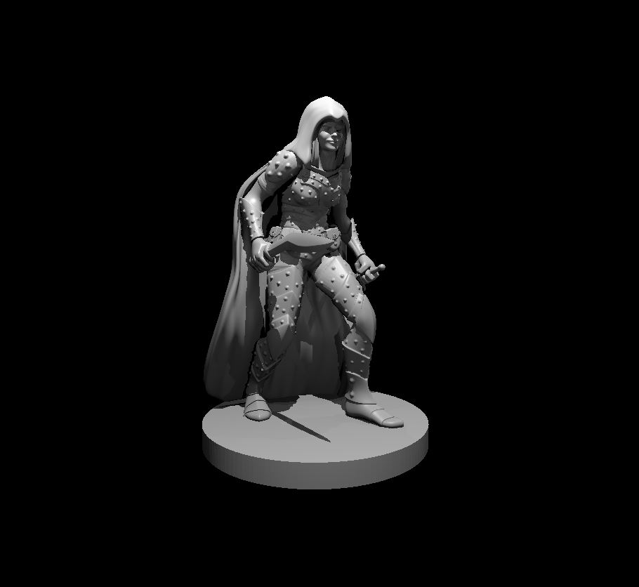 Rogue Collection 3 by MZ4250 | Download free STL model | Printables.com