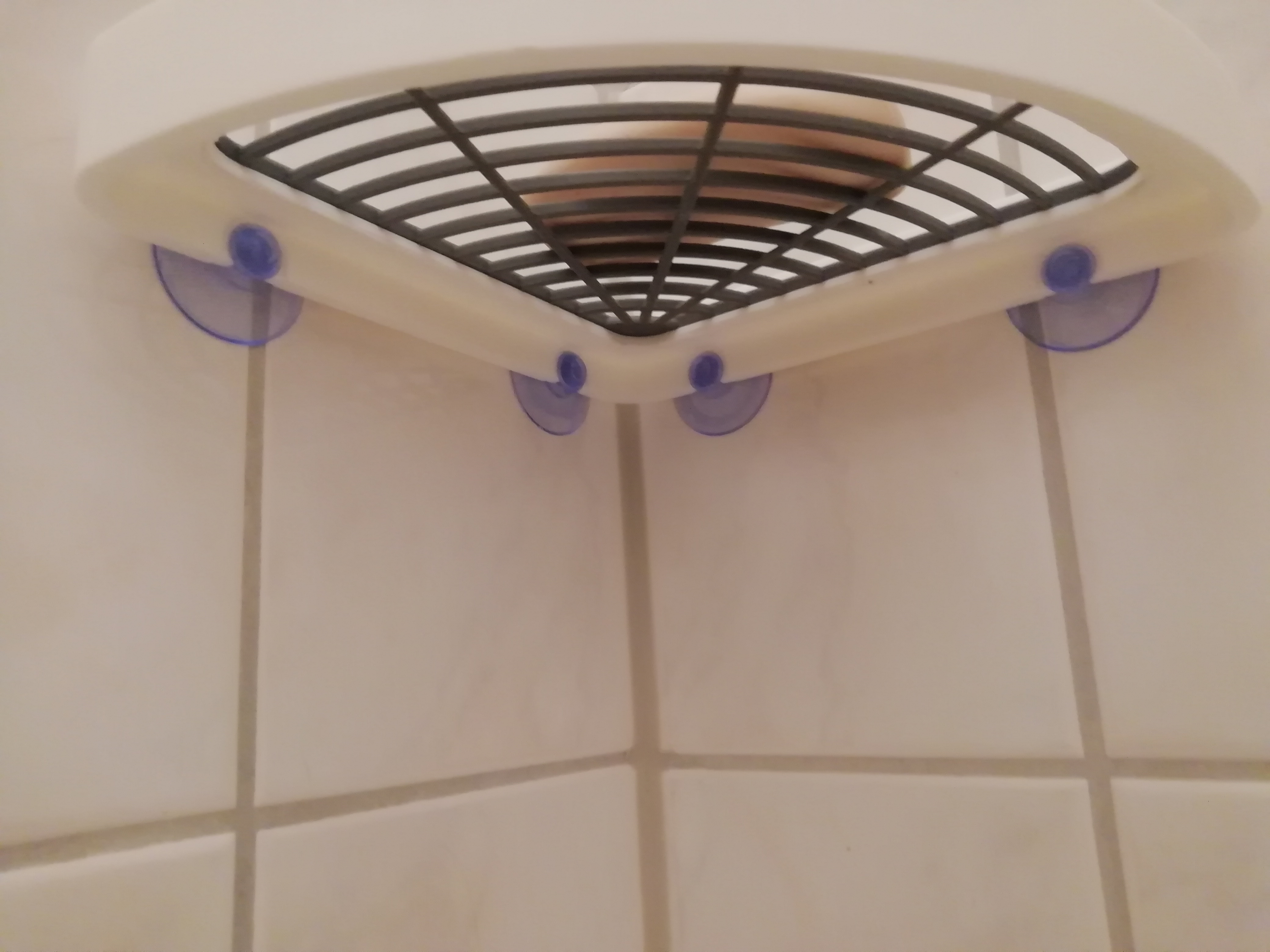 Shower Shelf (Suction Cups) by Svensson2584 | Download free STL model ...