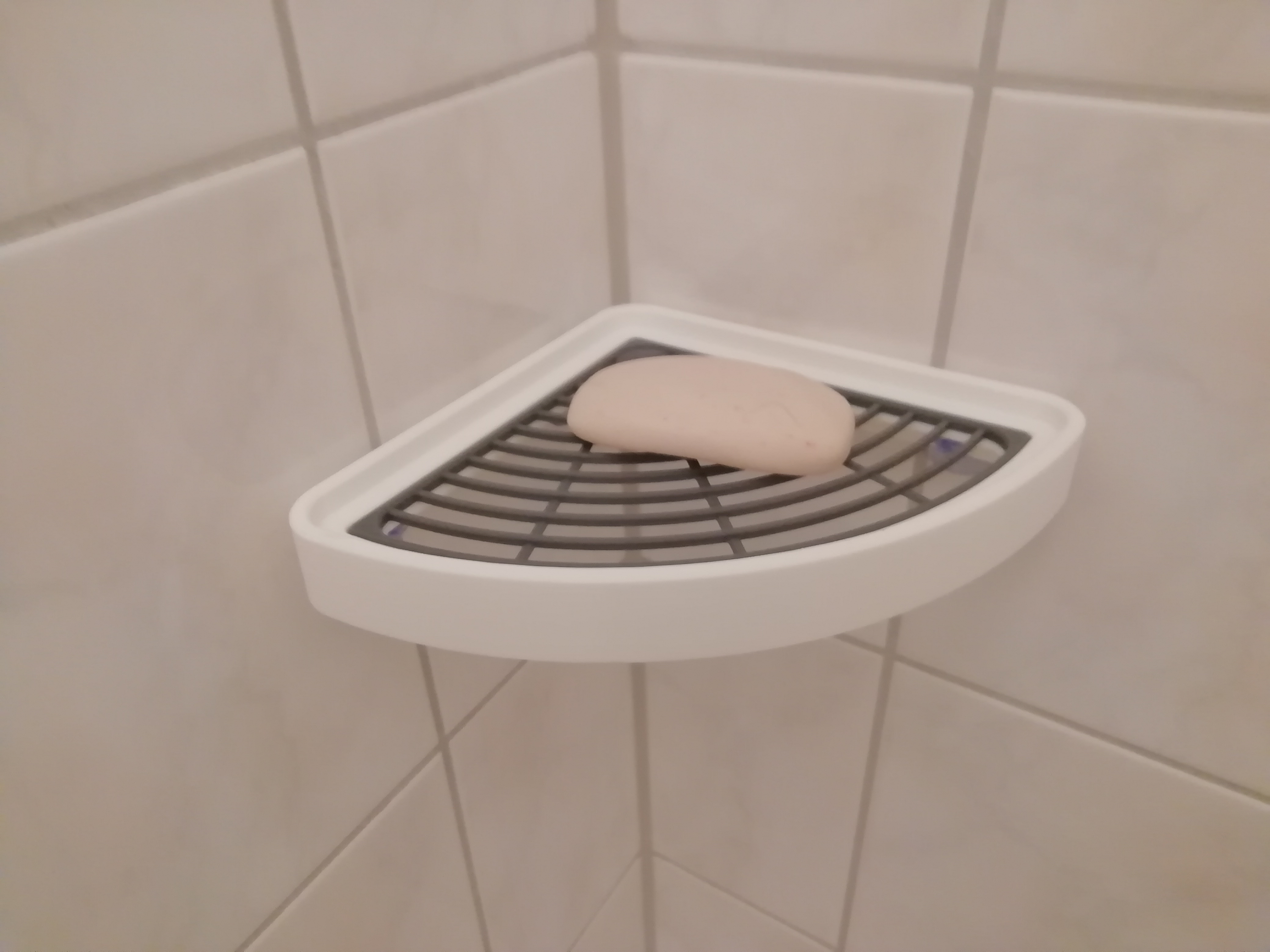 Shower Shelf (Suction Cups) by Svensson2584 | Download free STL model ...