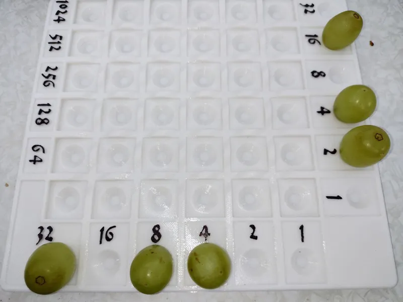 Napier Binary Multiplication Board by Jürgen Weigert | Download free ...