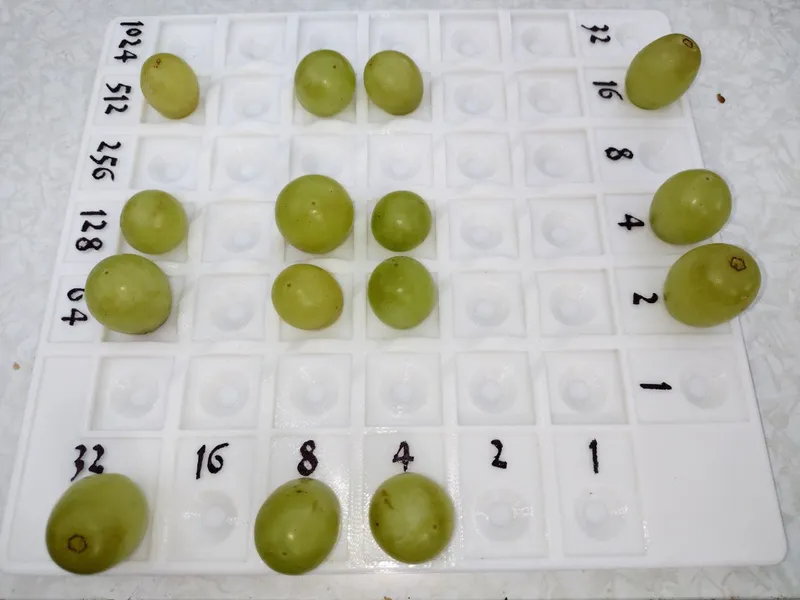 Napier Binary Multiplication Board by Jürgen Weigert | Download free ...