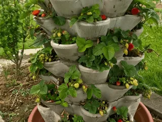 WuuYA Tree - Molds for vertical planters by WuuYA | Download free STL ...