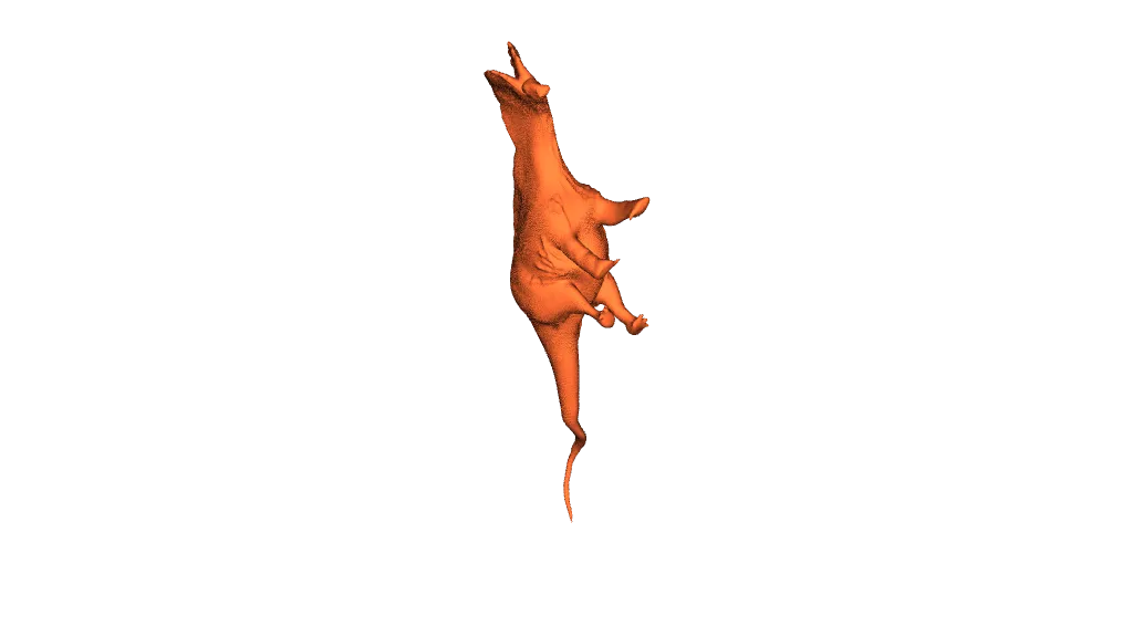 Bajadasaurus by Pan Wołodyjowski | Download free STL model | Printables.com