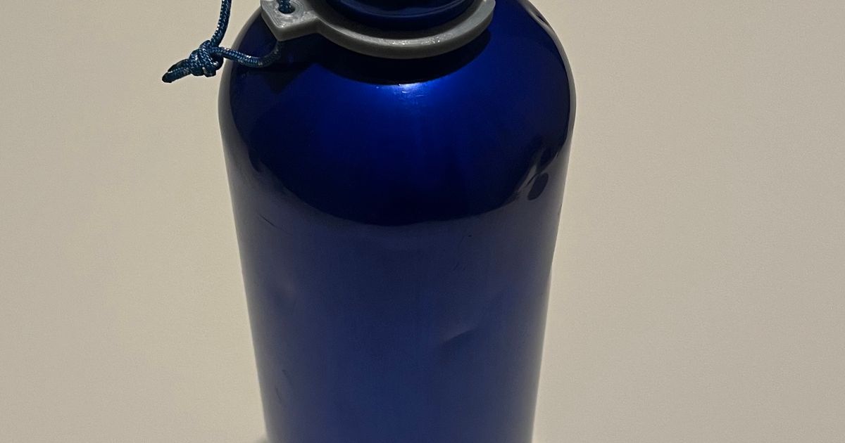 SIGG bottle Lace by Zehndiii | Download free STL model | Printables.com