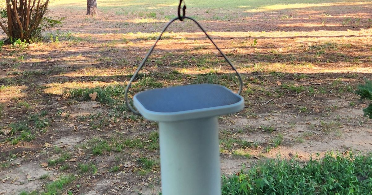 Hummingbird Ant Moats Lg & Sm, Easy Prints by N8finch | Download free ...