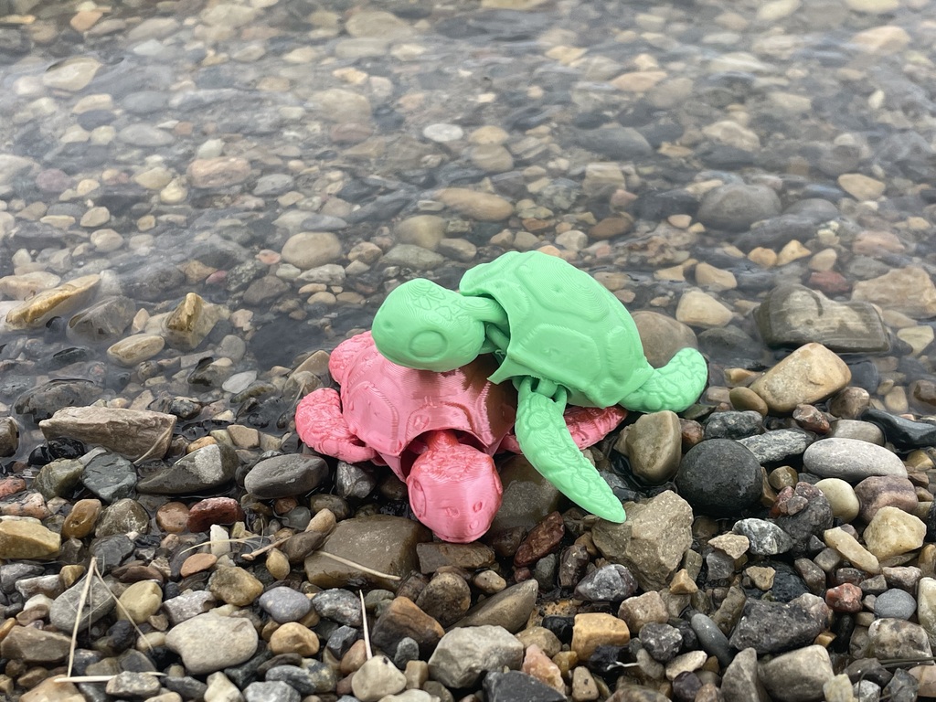 baby articulated turtle by ejprints3d | Download free STL model ...