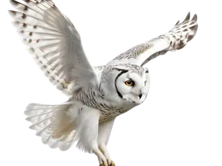 Flying Snowy Owl by Oksus | Download free STL model | Printables.com