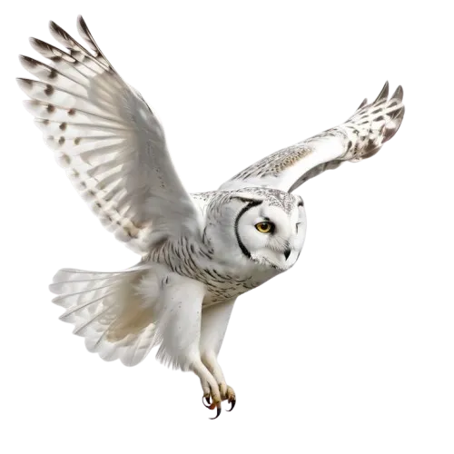 Flying Snowy Owl by Oksus | Download free STL model | Printables.com