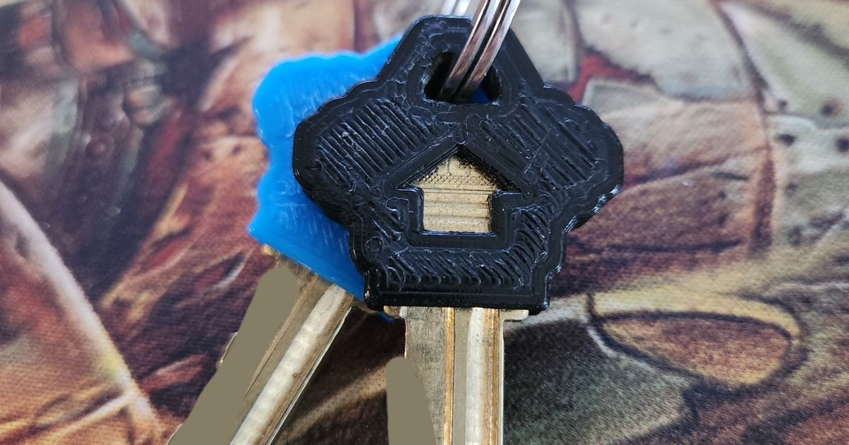 Schlage Key Silencer by Nicholas Berthelon | Download free STL model ...