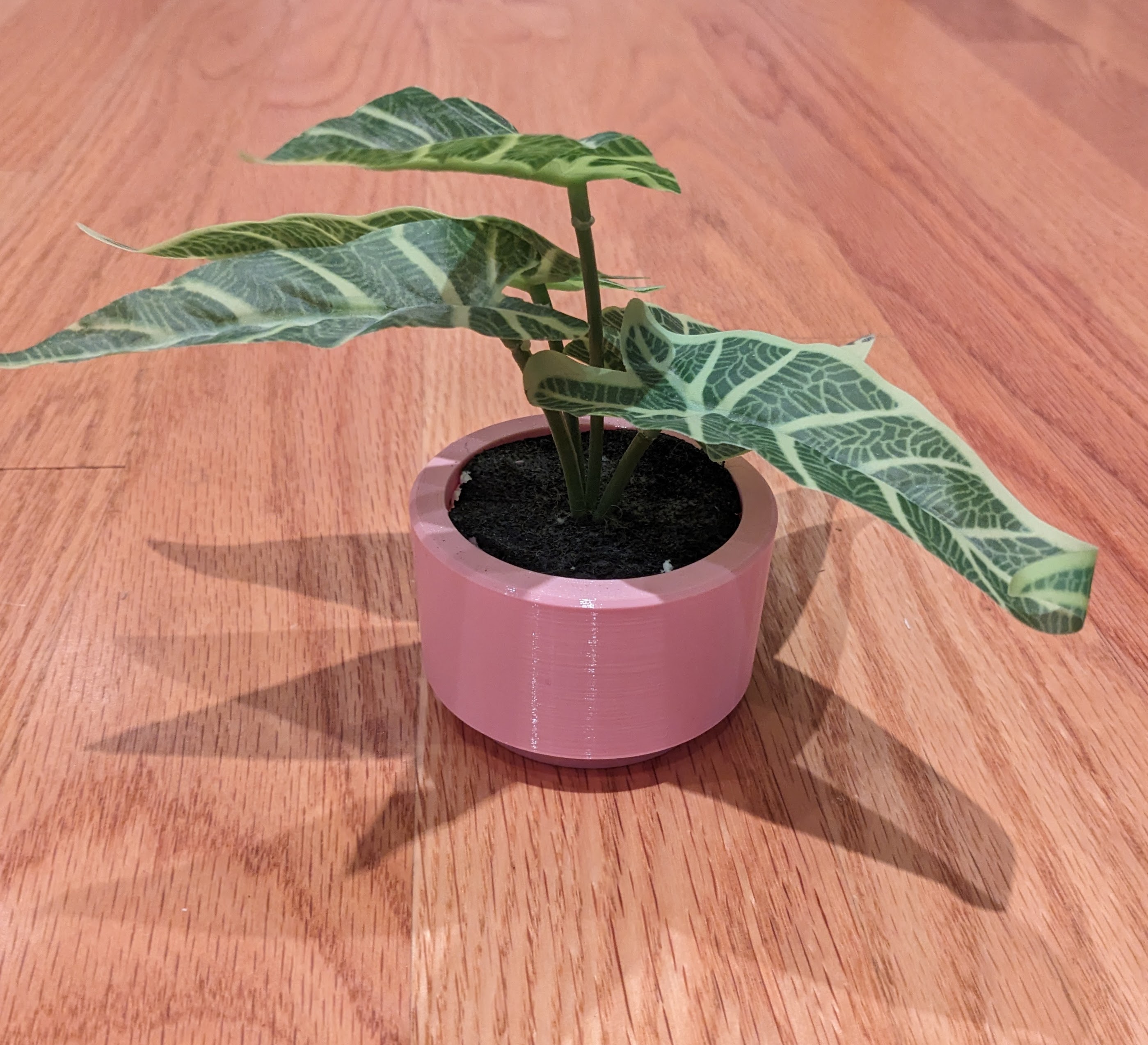 Fake Plant Pot (small) by EastMemphis | Download free STL model ...