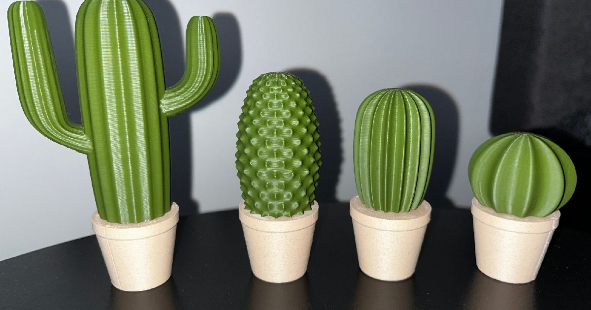 Cactus set by Adam | Download free STL model | Printables.com