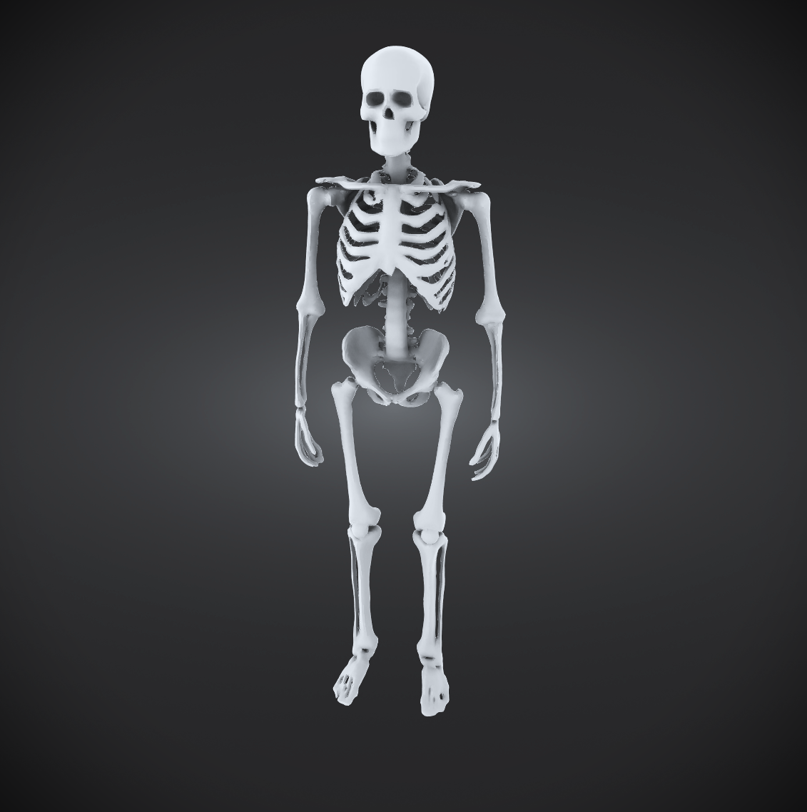 HUMAN SKELETON FIGURE HALLOWEEN by Christiansen | Download free STL ...