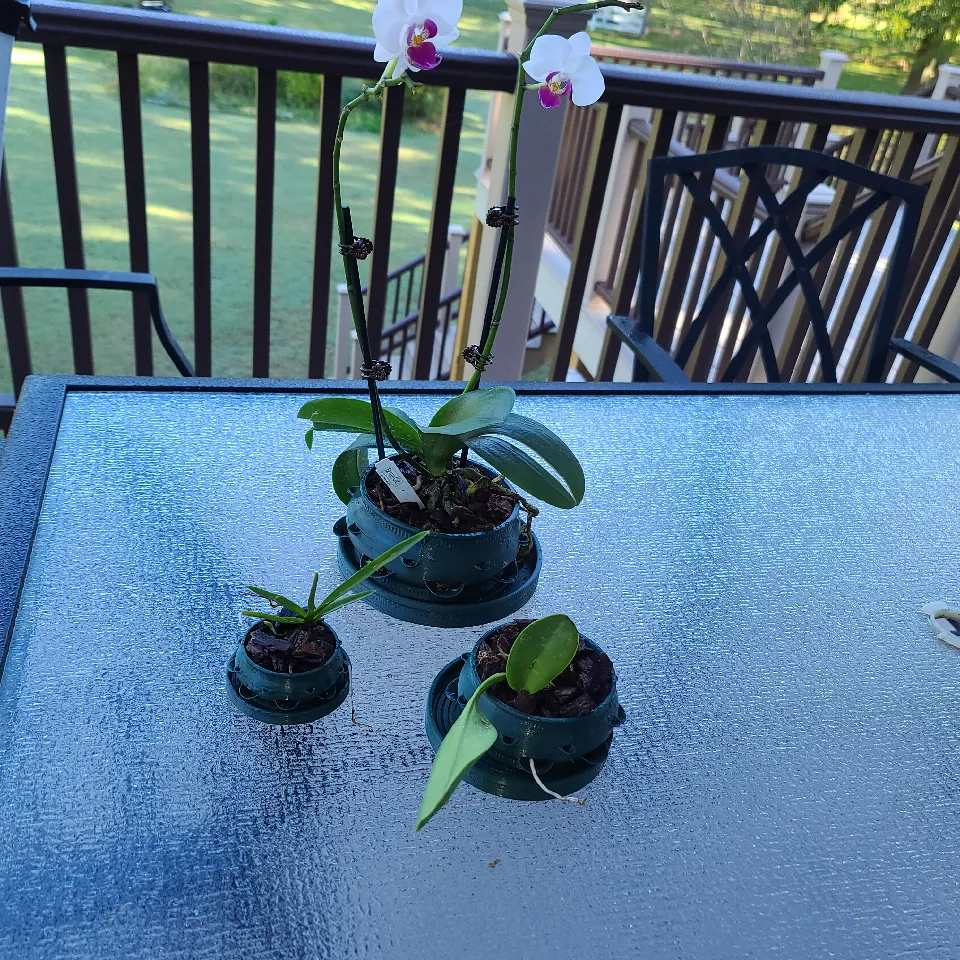 Orchid Pots with Drip Tray by BabaFet | Download free STL model ...