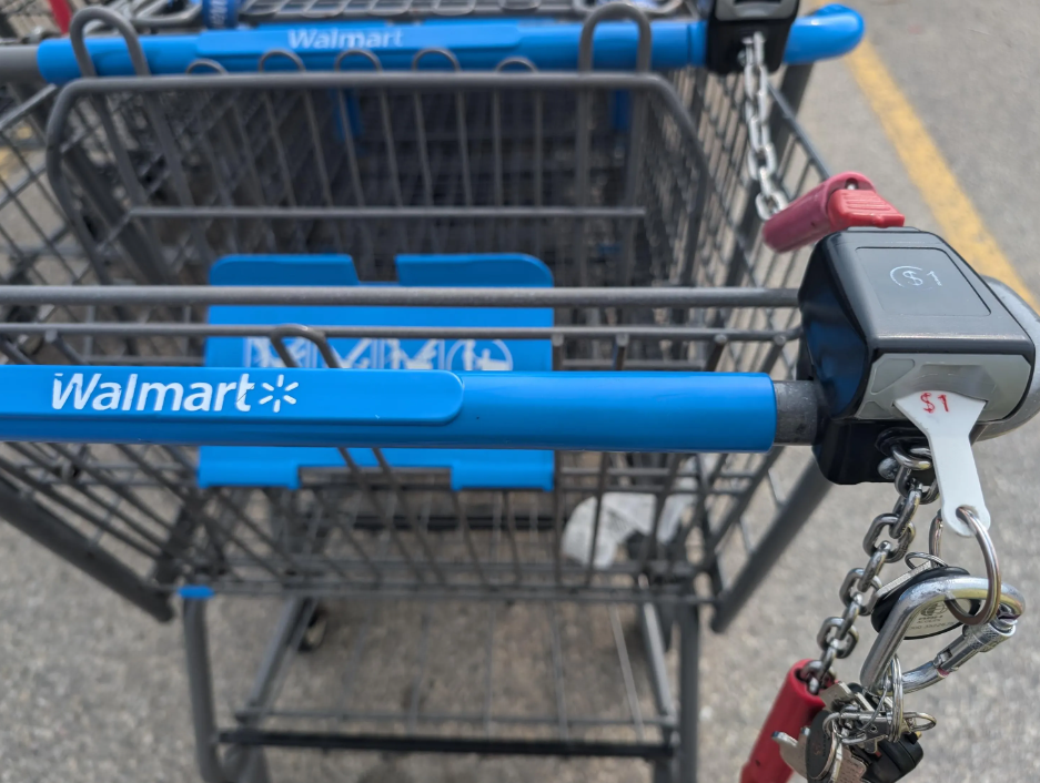 Shopping Cart - Canadian Shopping Cart by Viacheslav Blinder | Download ...