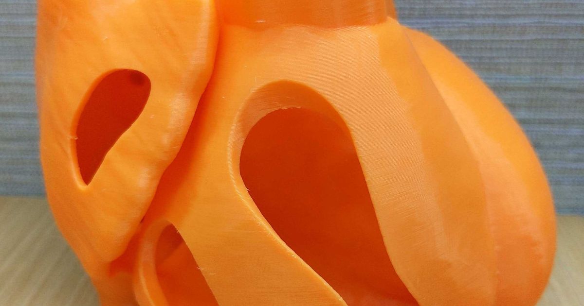 Model heart by slabmakerspace | Download free STL model | Printables.com