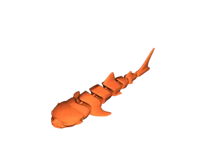 Rark ( The Rock Shark) by 3Dprintz | Download free STL model ...