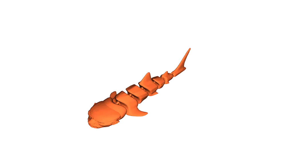Rark ( The Rock Shark) by 3Dprintz | Download free STL model ...