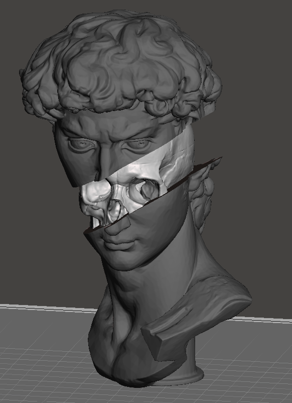 Splitting of David by melzein | Download free STL model | Printables.com