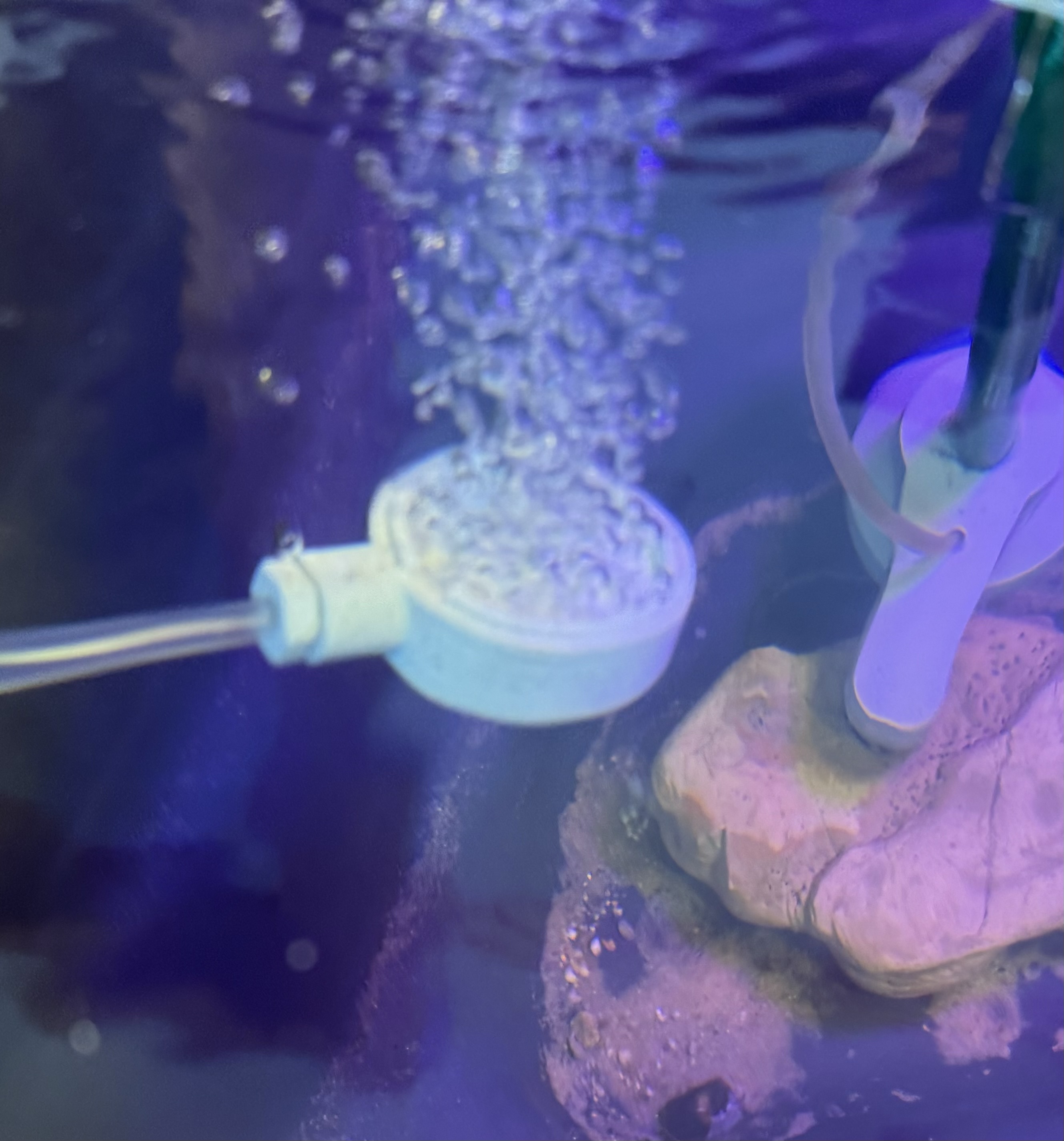 Aquarium fish tank Airstone Bubbler by firstgizmo | Download free STL ...