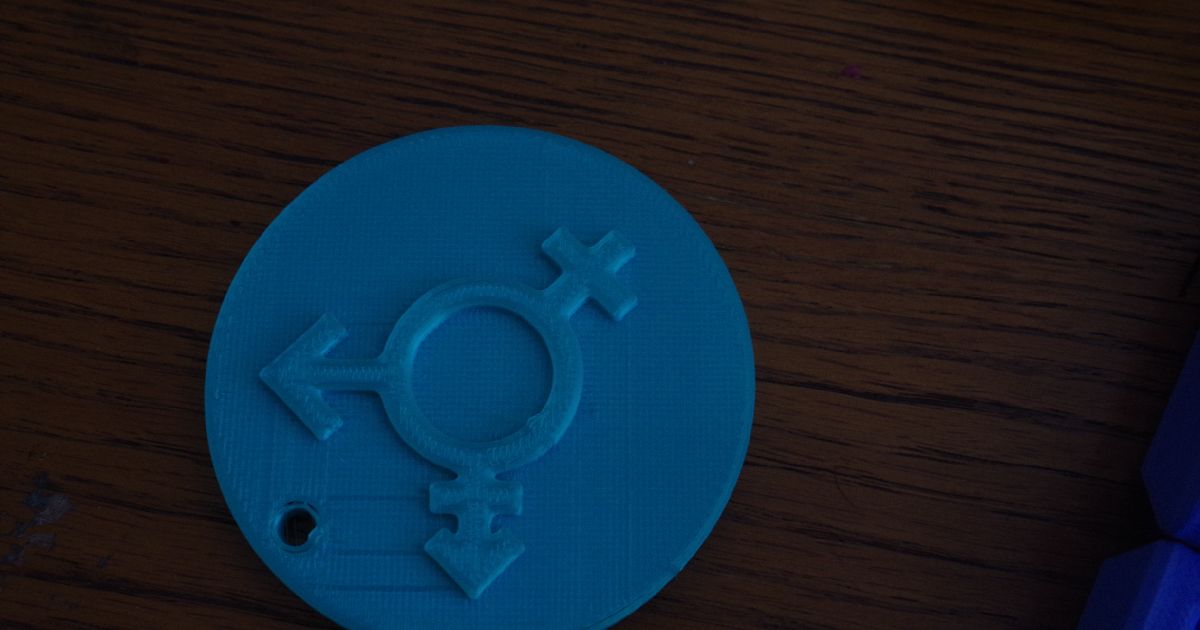 trans sign by rileyprints | Download free STL model | Printables.com