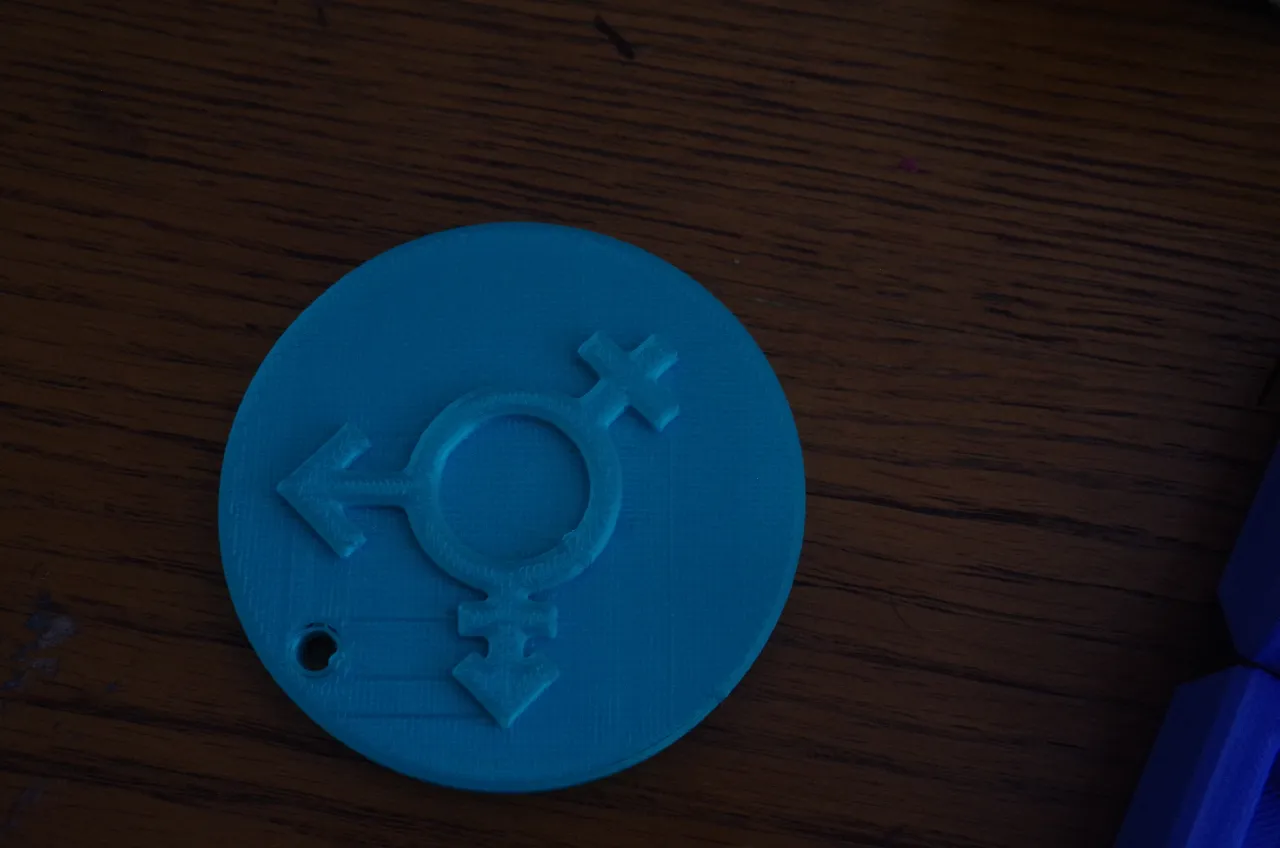 trans sign by rileyprints | Download free STL model | Printables.com