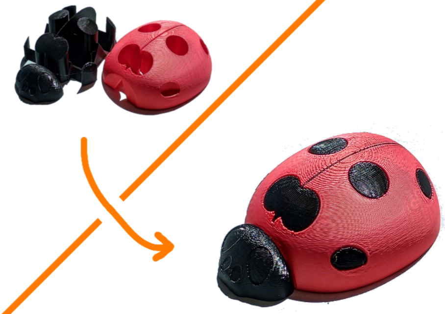 Single Extruder - Dual Color - Lady Bug by Schmidt | Download free STL ...