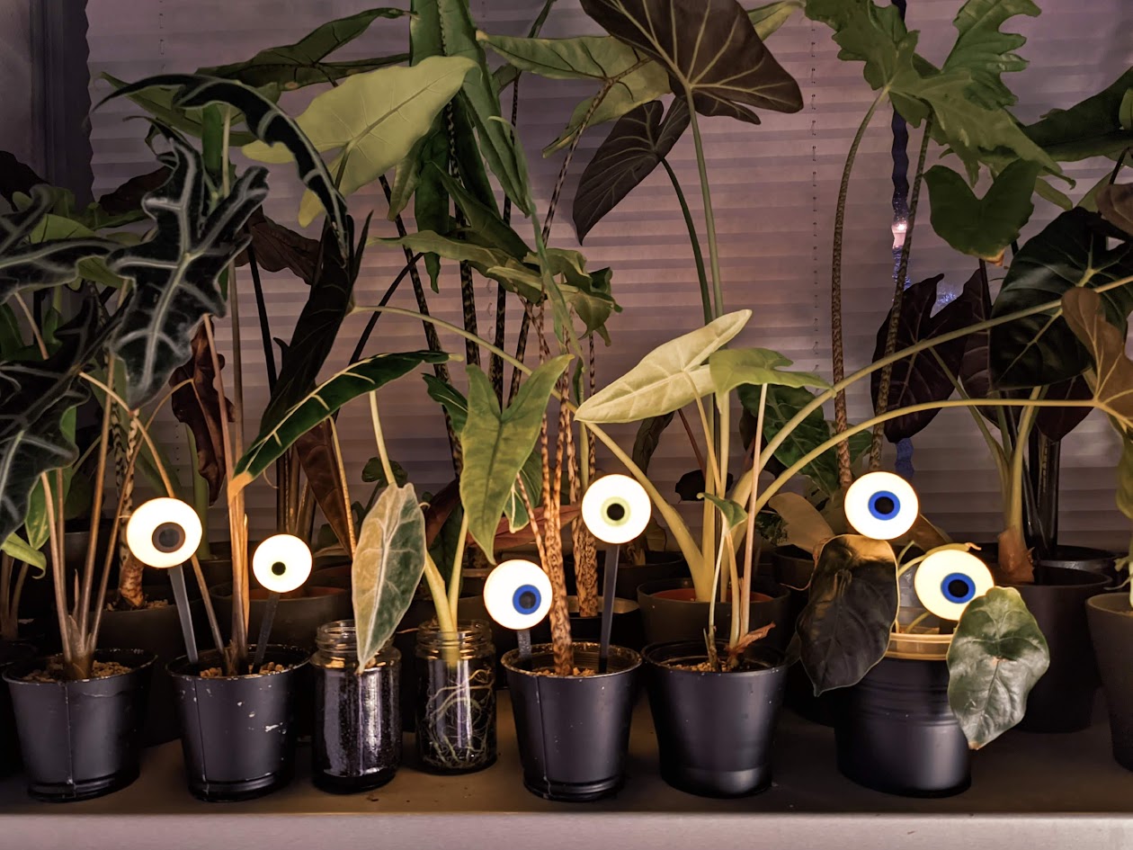 Glowing eyeballs by shelby-eleanor | Download free STL model ...