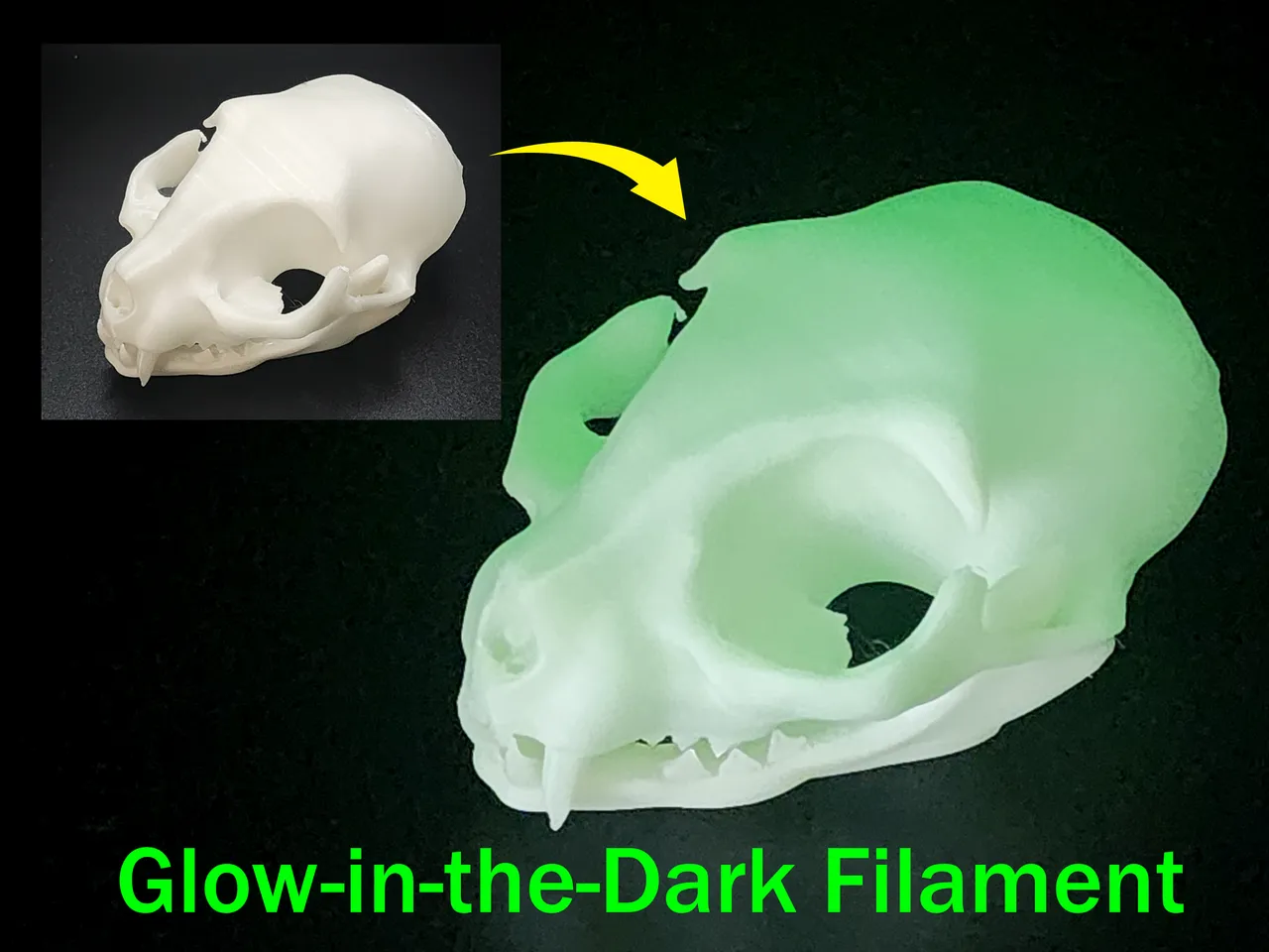 Cat Skull - Easy(ish) Print by Jamin VanderBerg | Download free STL ...