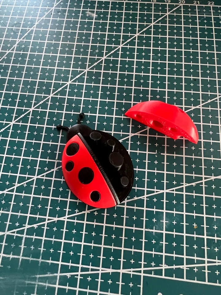Ladybug Magnet by Orsobruno | Download free STL model | Printables.com