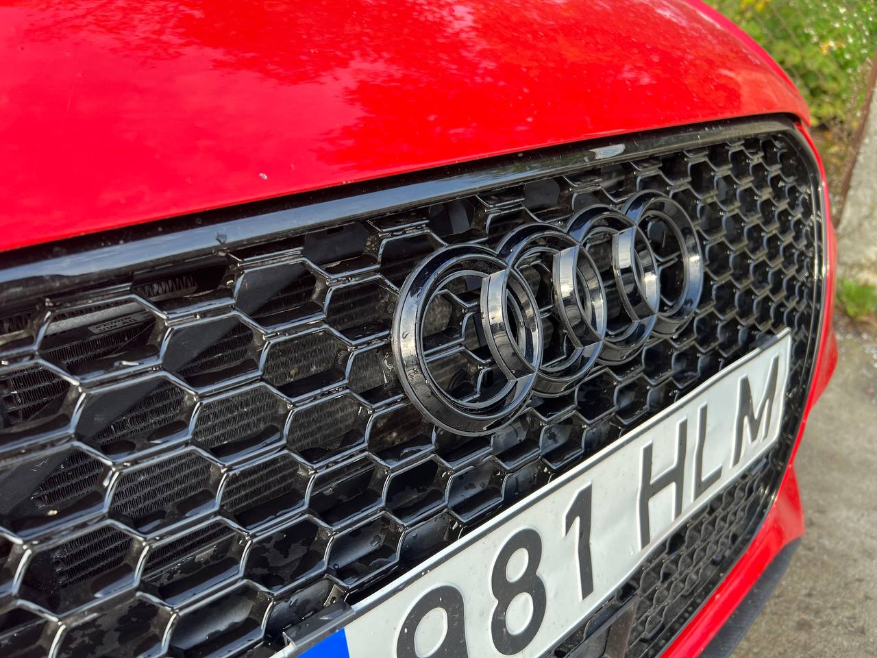 Audi RS3 8V clone grill / number plate (112mm) and logo holder( 273mm ...