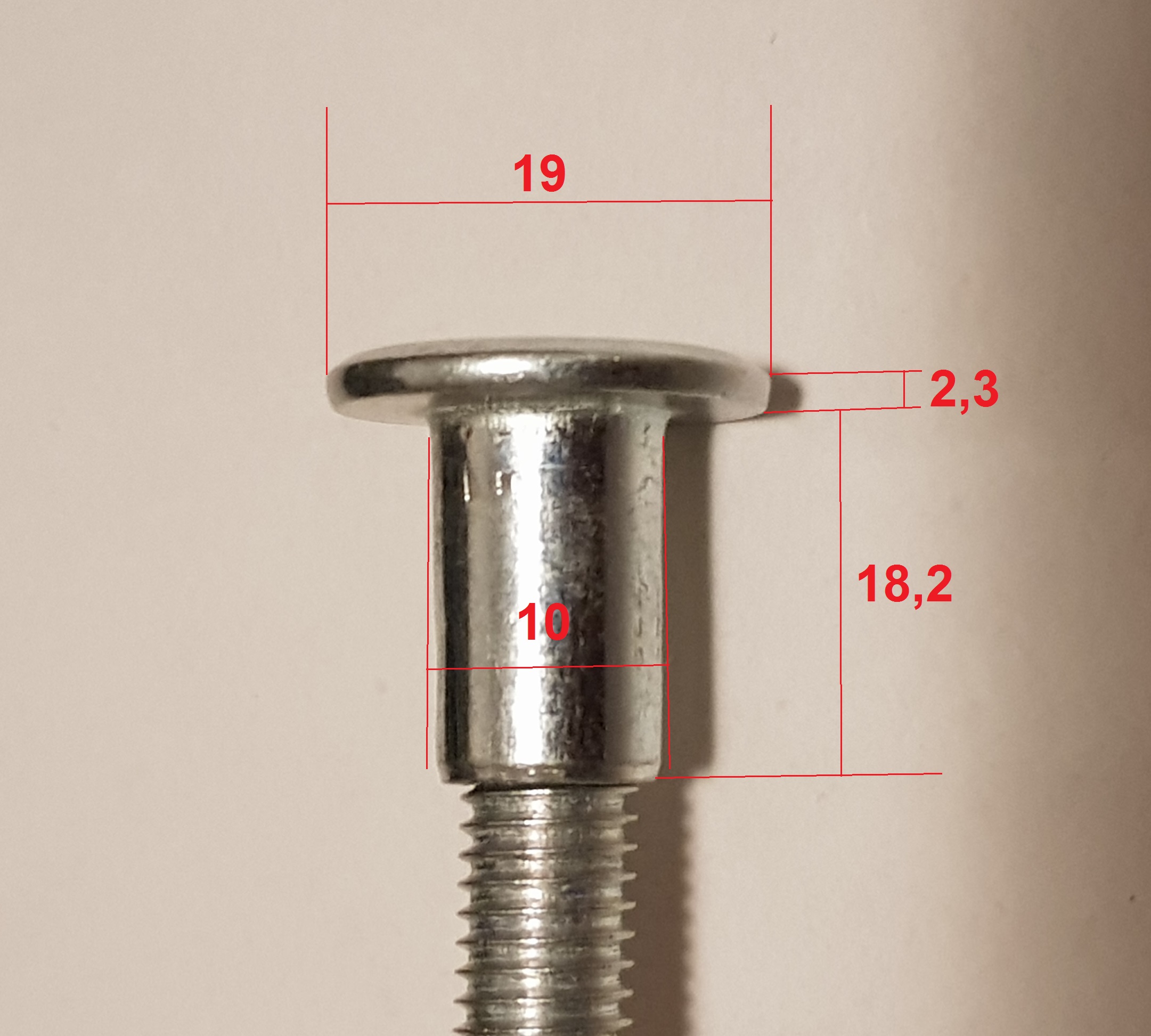 Hazelnut nutcracker by HAMMER_T | Download free STL model | Printables.com