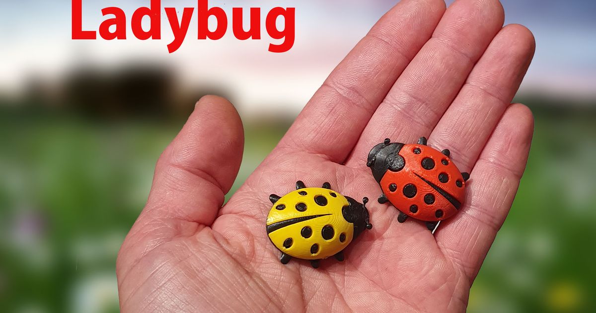 Ladybug / Beruška by StanDed | Download free STL model | Printables.com