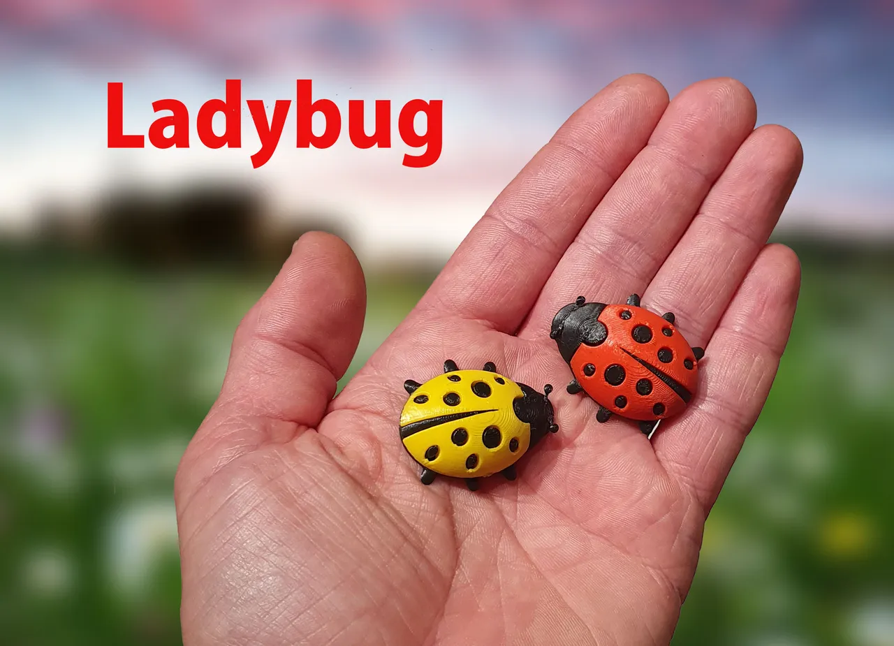 Ladybug / Beruška by StanDed | Download free STL model | Printables.com
