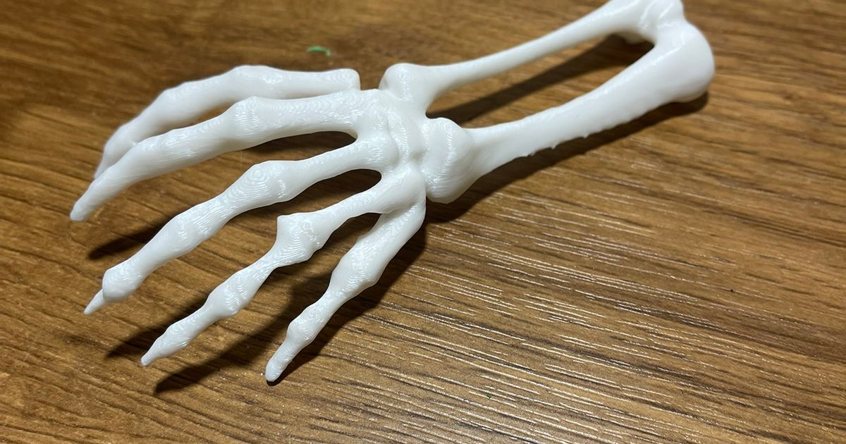 Skeleton Hand by Andulka | Download free STL model | Printables.com