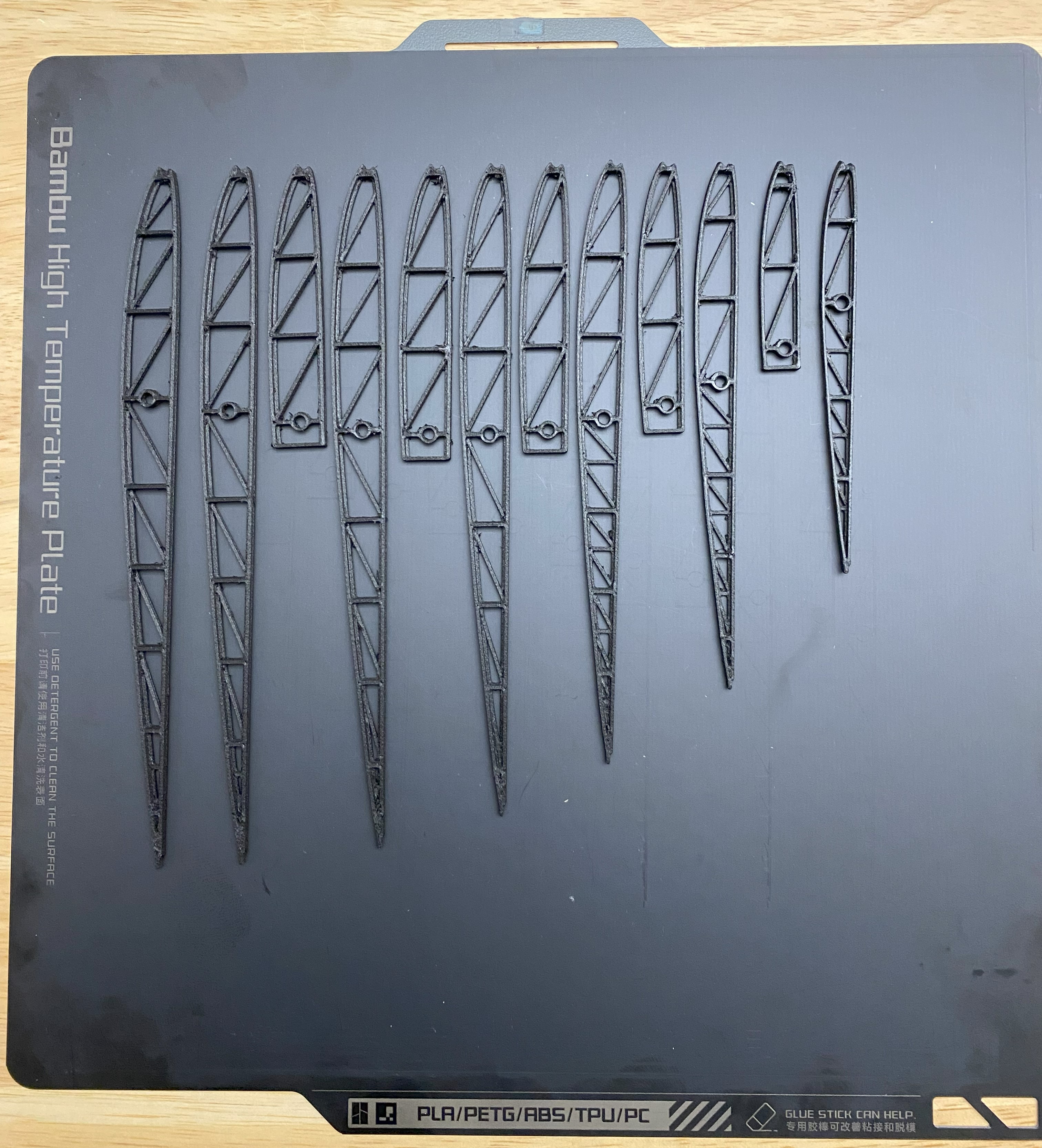 Carbon Bug - 3D Printed DLG by Geode | Download free STL model ...