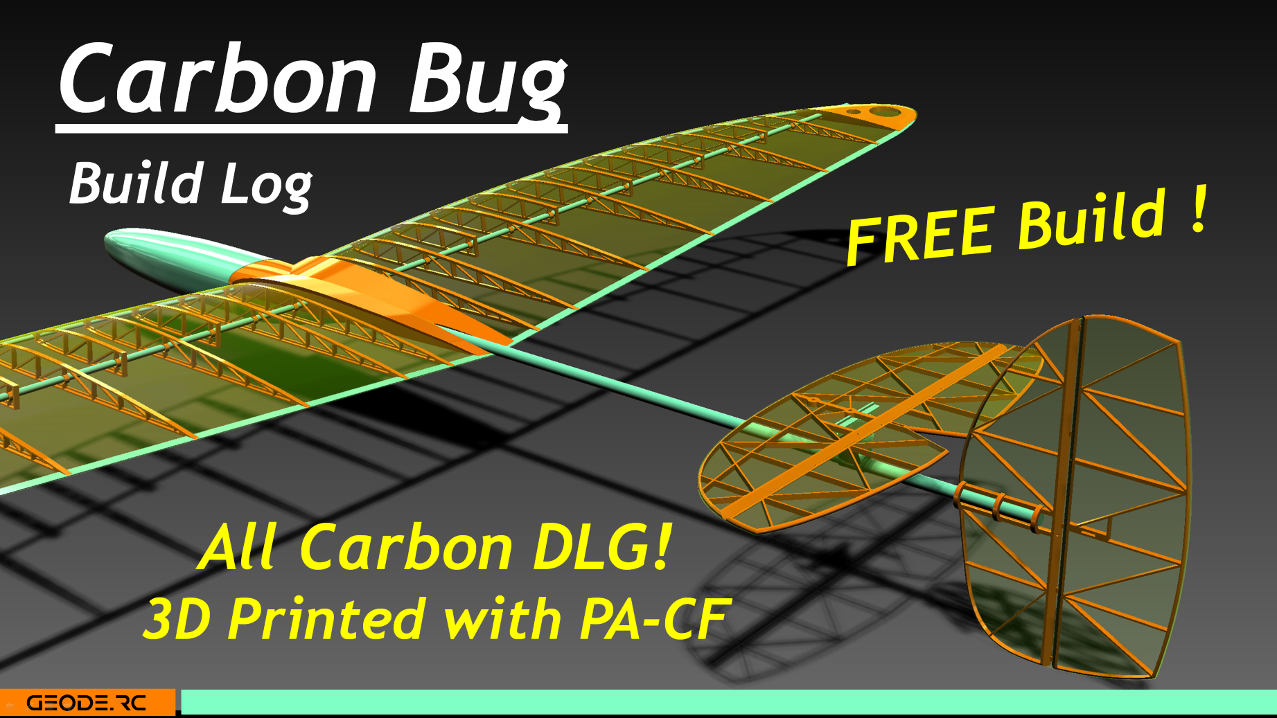 Carbon Bug - 3D Printed DLG by Geode | Download free STL model ...
