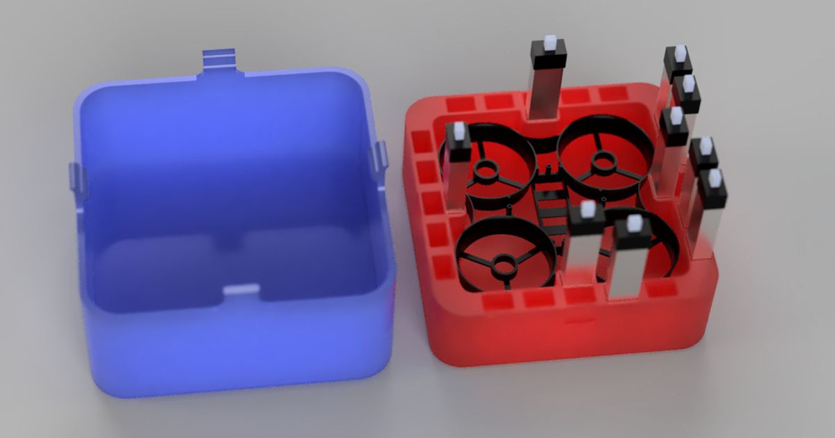 Tiny Whoop 65 Hard Case with 1s Lipo storage by Nick Cent | Download ...