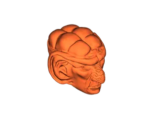Grand Nagus Staff from Deep Space 9 by N3KR0 | Download free STL model ...