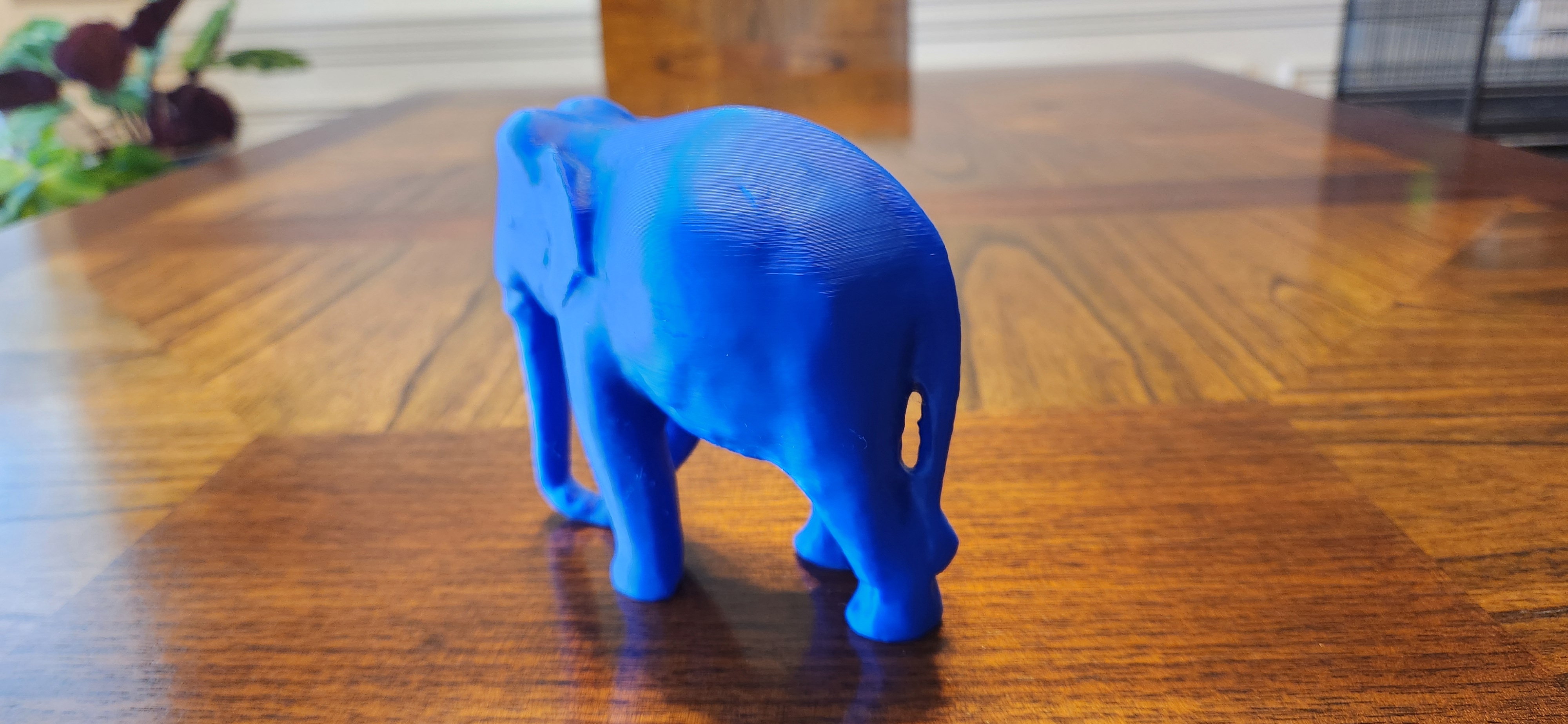 Indian Elephant by Gavin Tonn | Download free STL model | Printables.com