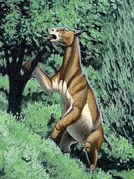 moropus by seth the yutyrannus | Download free STL model | Printables.com