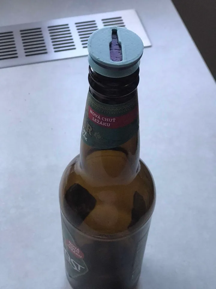 Bottle cover by Dalibor Hegli | Download free STL model | Printables.com