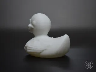 Skeleton Duck by Atro | Download free STL model | Printables.com