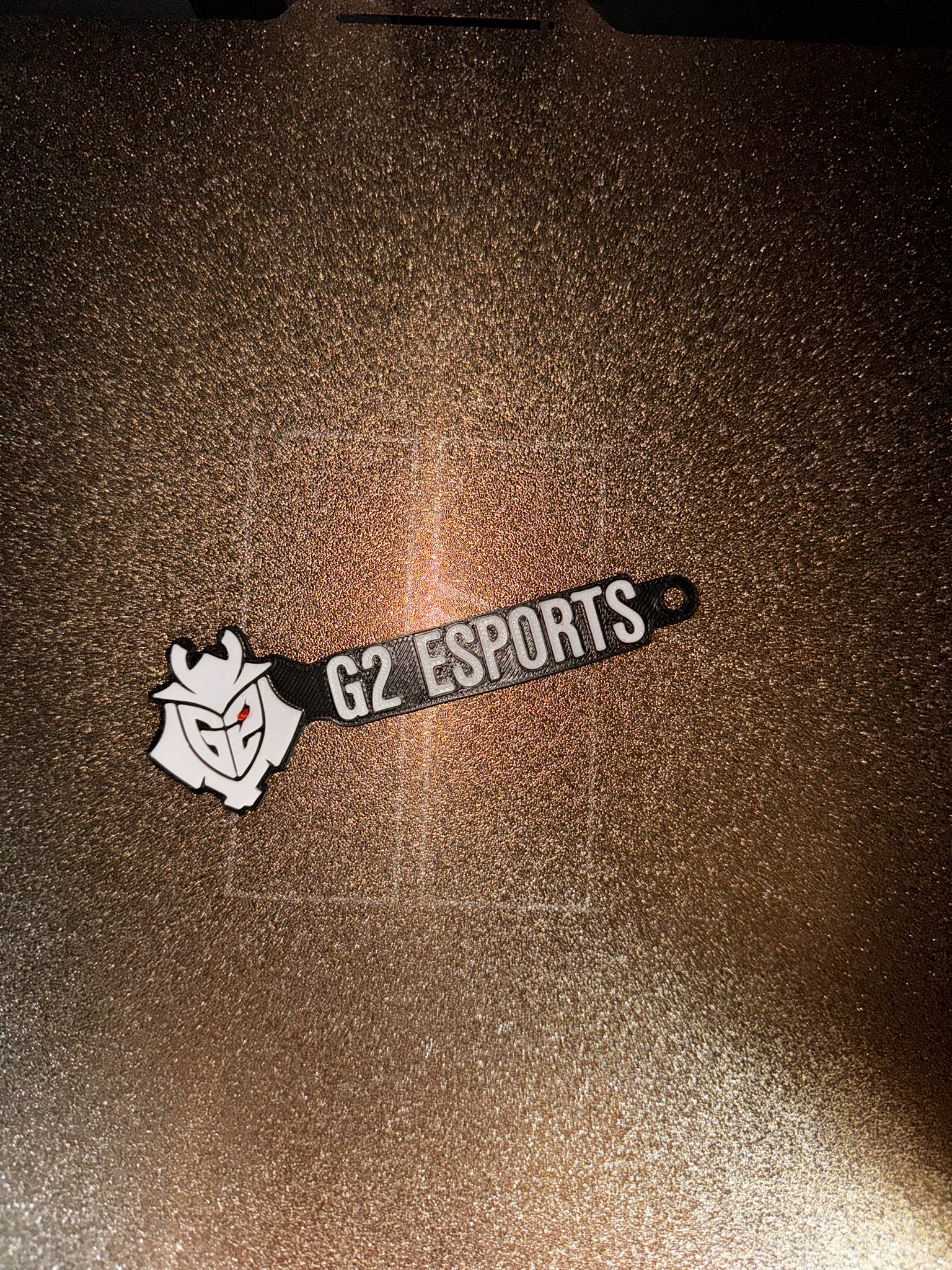 G2 Esports Keychain by Spank | Download free STL model | Printables.com