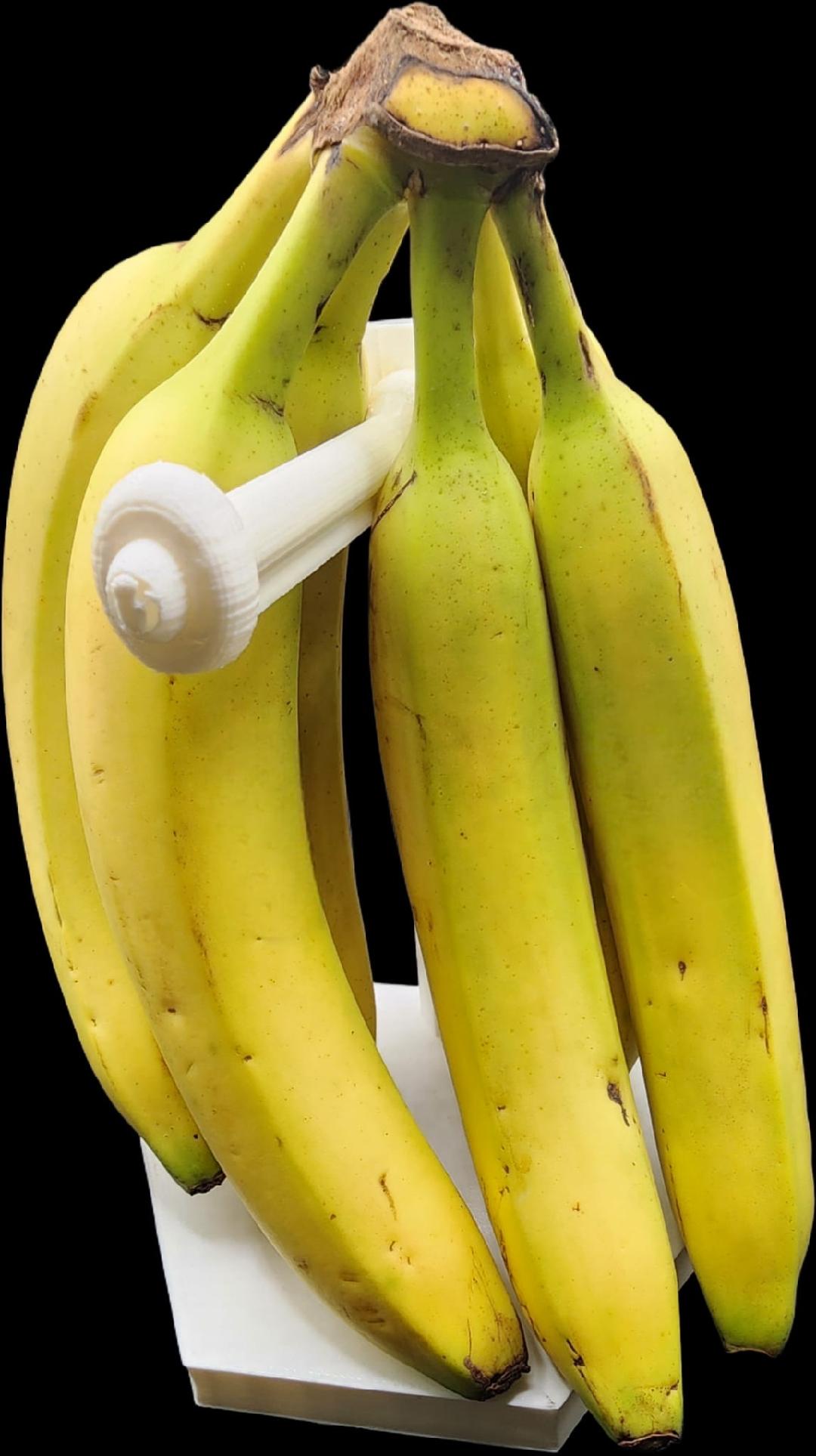 banana stand mid by JEANLAGUIRA | Download free STL model | Printables.com