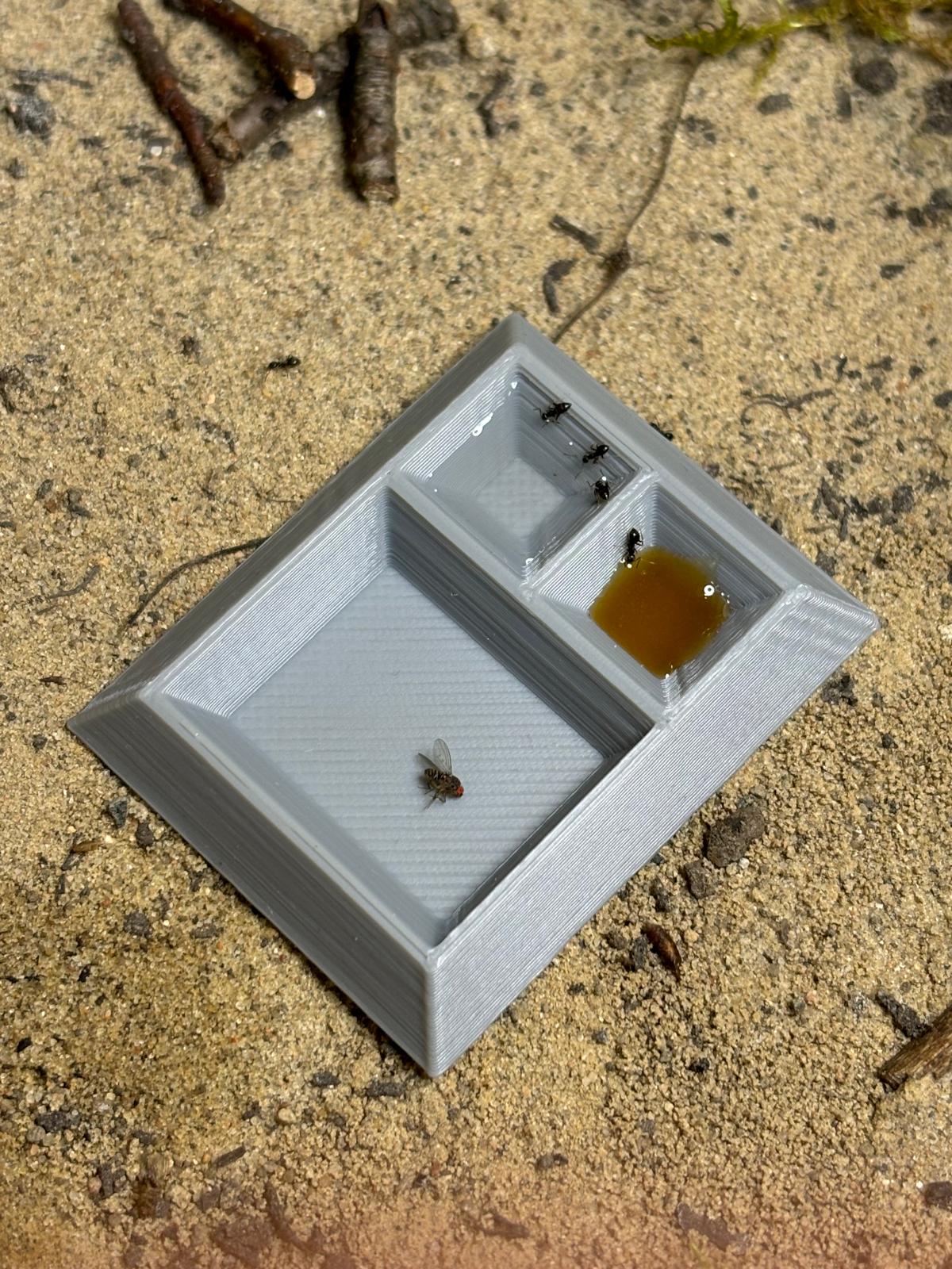 Ant Feeder - Feeding Dish Collection by printdmg | Download free STL ...