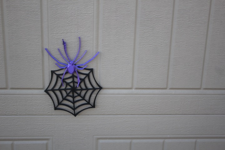 Spider Web by Ray Fox | Download free STL model | Printables.com